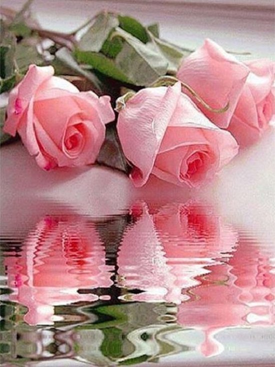 Diamond painting de luxe 40x50cm - Roze rozen in water spiegelbeeld | bol