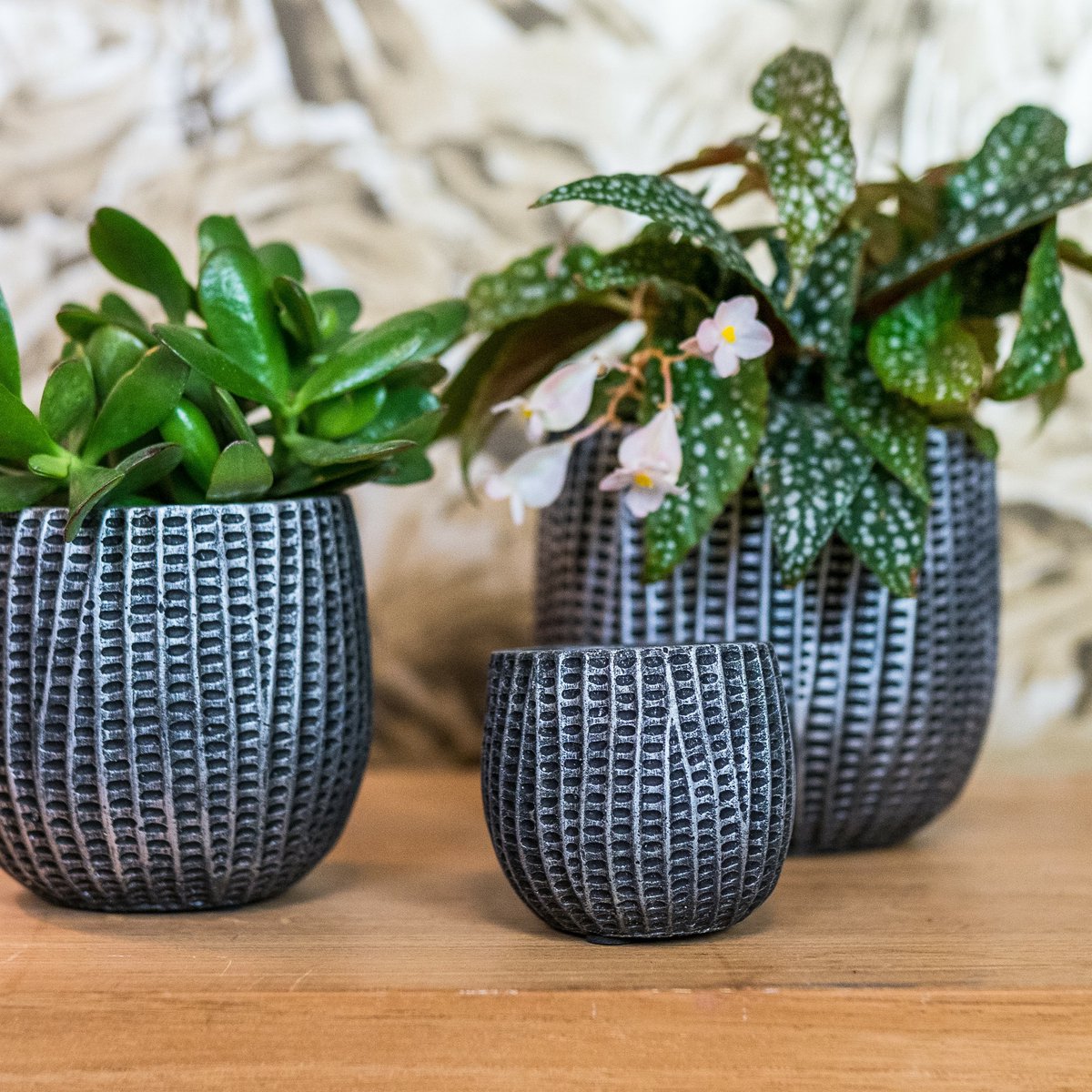 Ter Steege Bloempot/plantenpot - binnen - zwart/metaal look - D15/H13 ...