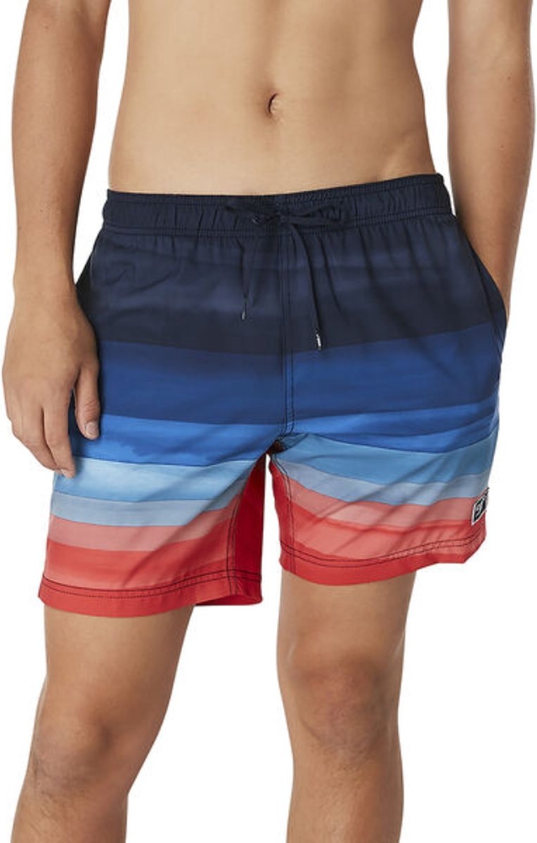 Speedo Eco Sna Print Volley 17 zwemshort heren blauw dessin | bol.com