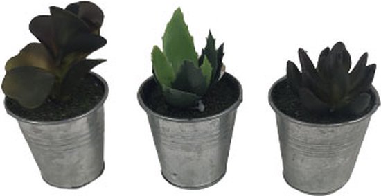 Mini nep vetplantjes in tinnen potje - Groen / Zilver - Kunststof ...