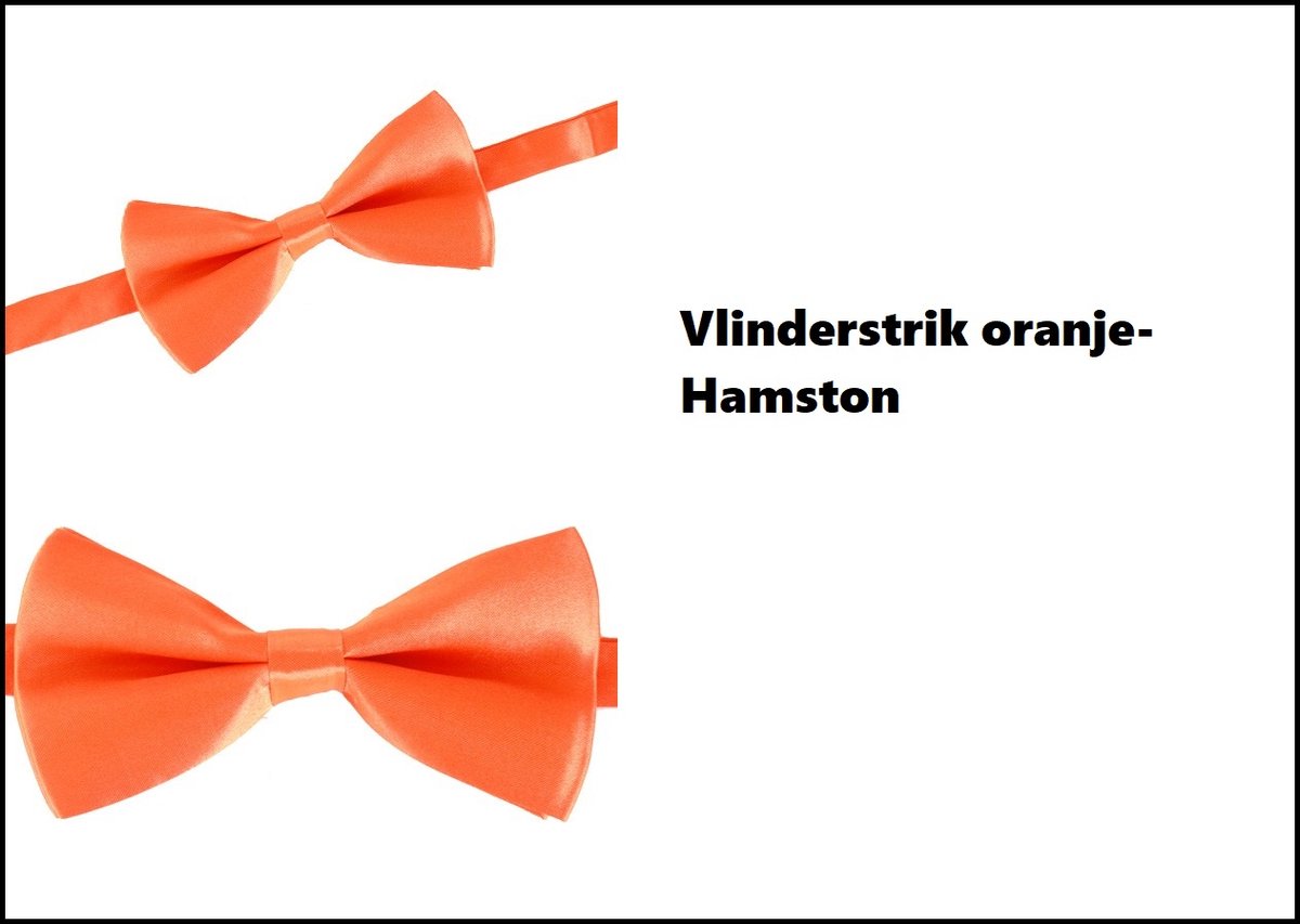 Vlinderstrik oranje satijn - Hamston thema feest party gala feest ...