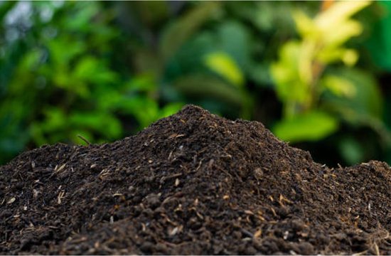 Tuincompost - 30 Liter - Bodemverbeteraar - Voor ophoging en ...