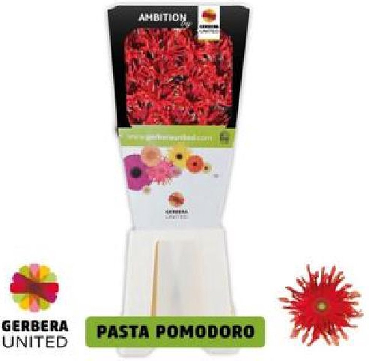 DutchFlowers - Boeket - 15x Gerbera pasta pomodoro 70cm | bol.com