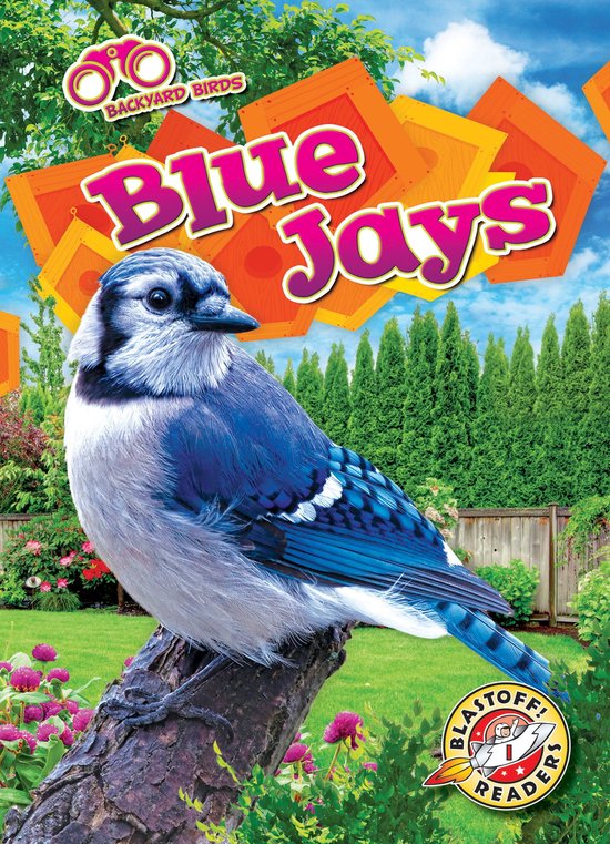 Backyard Birds - Blue Jays (ebook), Elizabeth Neuenfeldt ...