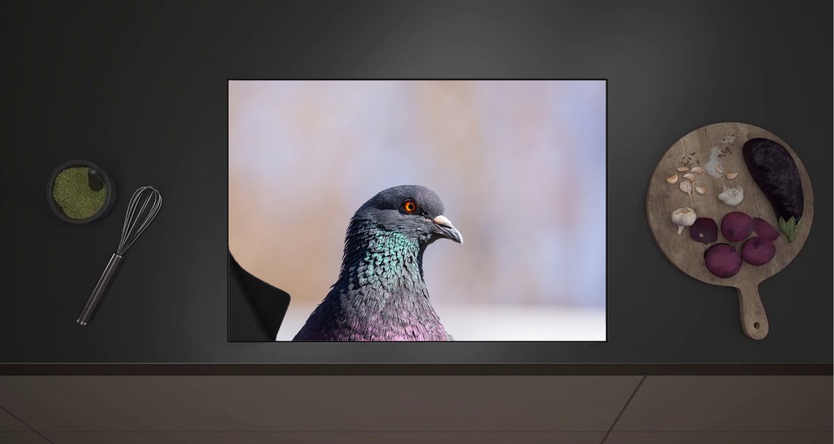 Inductie Beschermer - Kop van Opzijkijkende Stadsduif - 70x52 cm - 2 mm ...