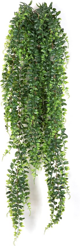 Everplant Kunst Hangplant Boston Varen 100 cm - Kunstplanten ... Everplant Kunst Hangplant Boston Varen 100 cm - Kunstplanten ...