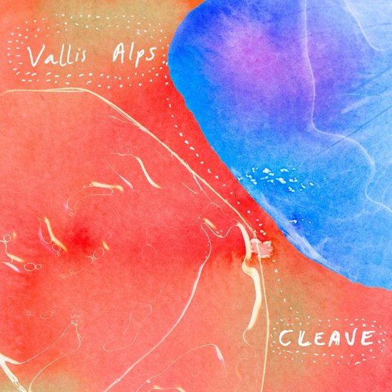 Vallis Alps - Cleave (LP), Vallis Alps | Muziek | bol
