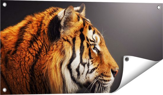 Gards Tuinposter Zijaanzicht van een Tijger - Tijgerkop - 80x40 cm ...