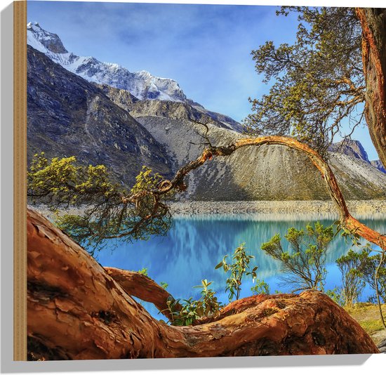 Hout - Bomen en Takken hangend over Blauw Water in het Dal van de ...