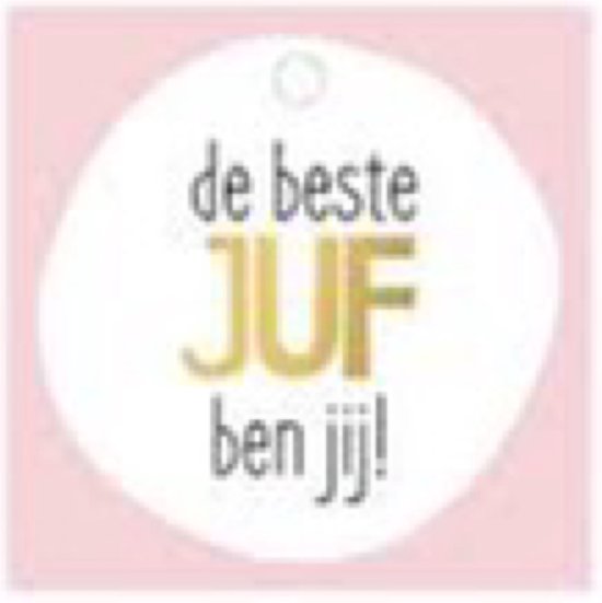 Cadeaulabel- Kaartje- Bedankje Juf- de beste juf ben jij- 5 stuks- 6x6 ...