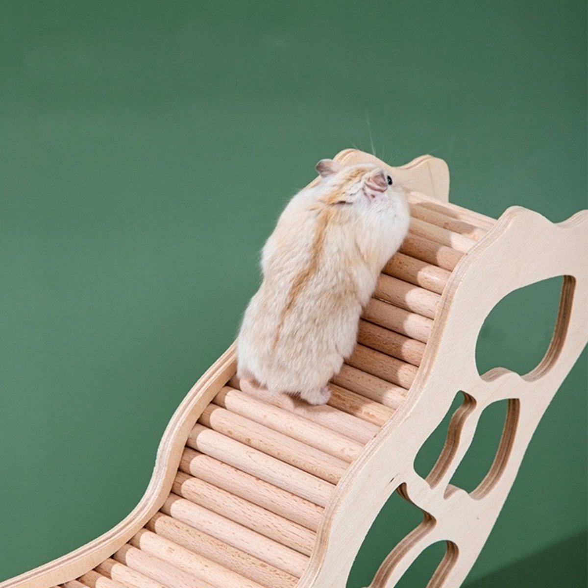 Hamster Cavia Tunnel Stoel Voor Hamster Kooi Klim Speelgoed Verstop ...