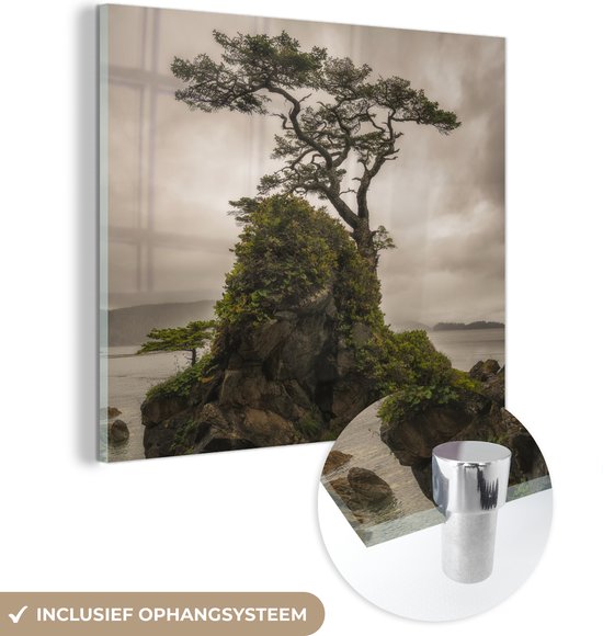 MuchoWow® Glasschilderij 50x50 cm - Schilderij acrylglas - Boom en rots ...