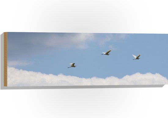 Hout - Vogels Vliegend Voorbij de Wolken - 90x30 cm - 9 mm dik - Foto ...