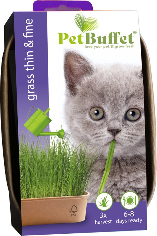 3x Baza Pet-Buffet Kattengras Thin & Fine Kitten | bol