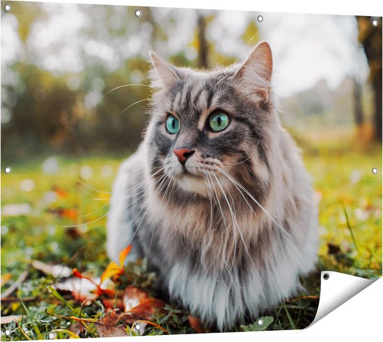 Gards Tuinposter Kat met Groene Ogen op het Gras - 120x90 cm - Tuindoek ...