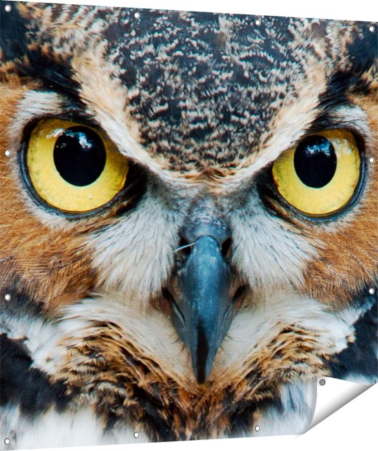 Gards Tuinposter Uil Kop met Gouden Ogen - 120x120 cm - Tuindoek ...