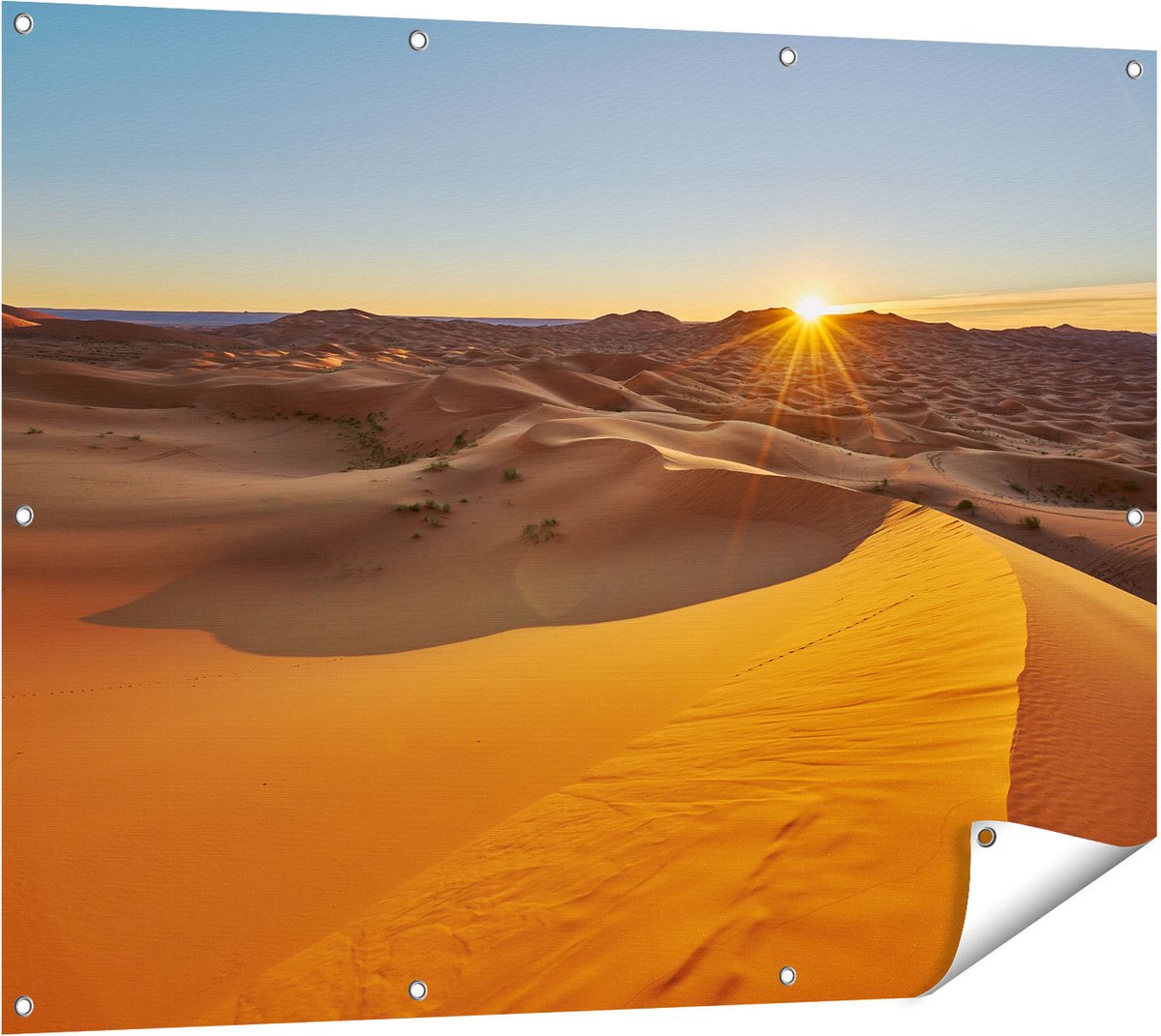 Gards Tuinposter Woestijn in de Sahara met een Opkomende Zon - 120x90 ...