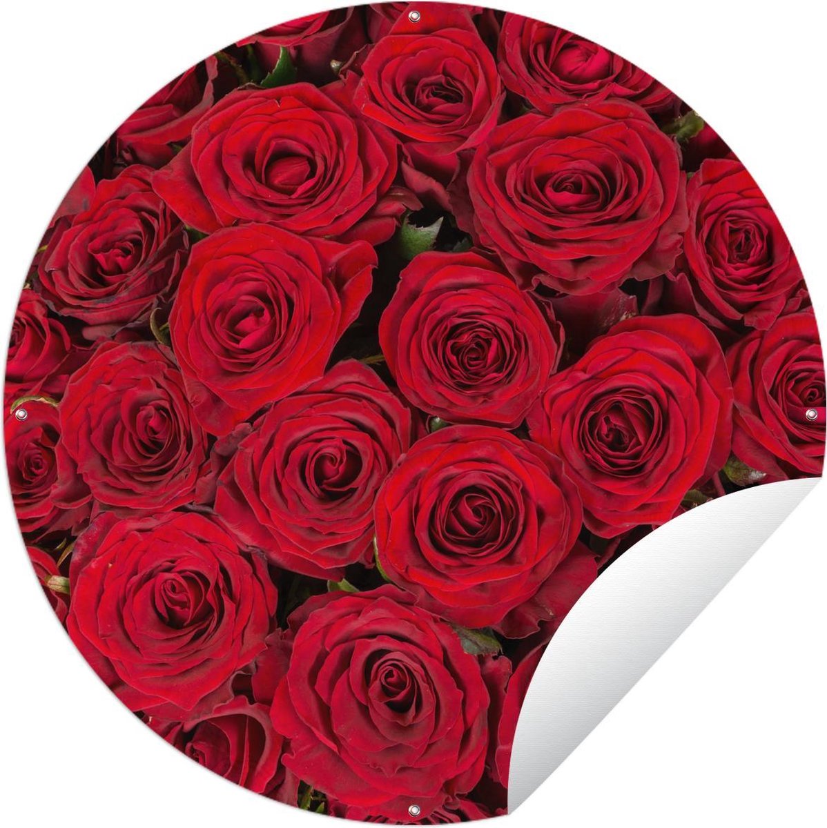 Garden Circle Roses - Bouquet - Rouge - 150x150 cm - Affiche de Jardin ...