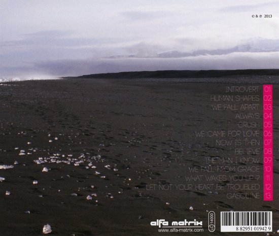 Technoir - We Fall Apart (CD), Technoir | Muziek | bol