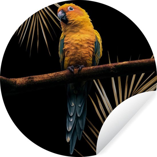 WallCircle - Muurstickers - Behangcirkel - Vogel - Papegaai - Tak - Varen - ⌀ 30 cm -... | bol