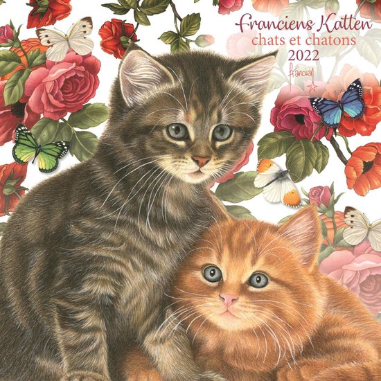 Huisdieren/dieren kalender 2022 poezen/katten getekend 30 cm incl. 2 ...