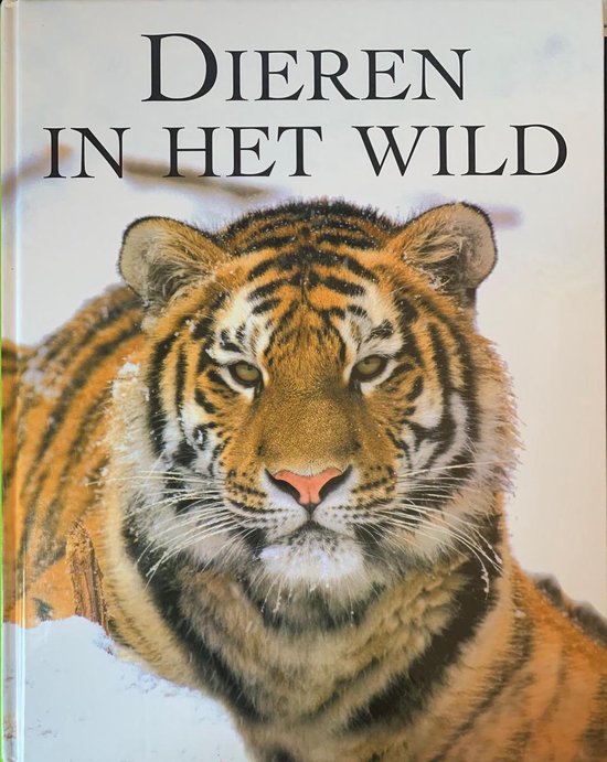 Dieren in het wild, Mike Briggs | 9781405452434 | Boeken | bol