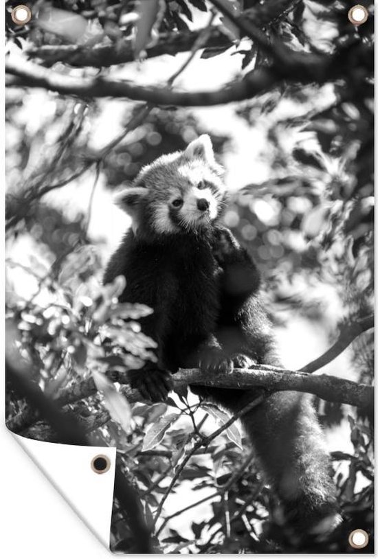 Décoration de jardin Panda roux en haut d'un arbre - noir et blanc ...