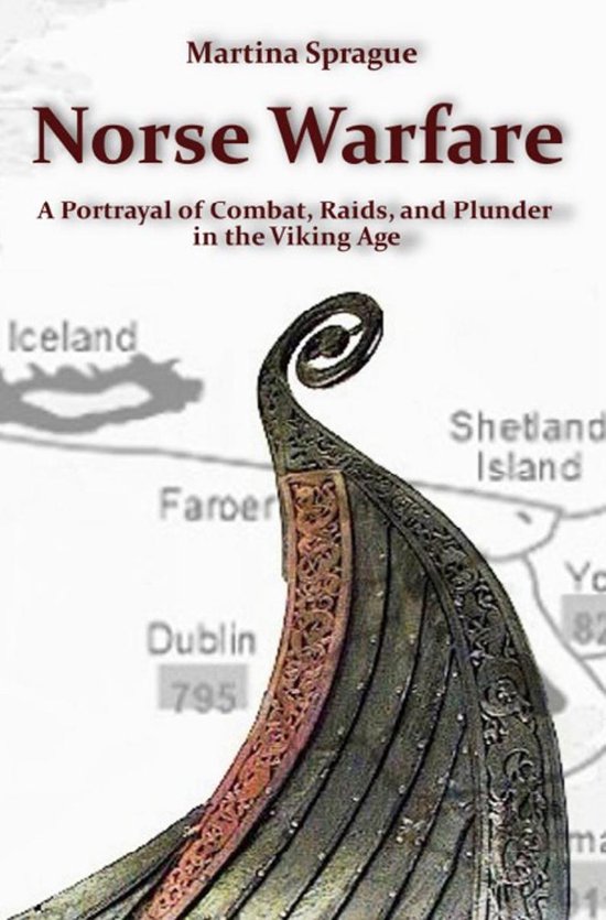 Norse Warfare: A Portrayal of Combat, Raids, and Plunder in the Viking ...