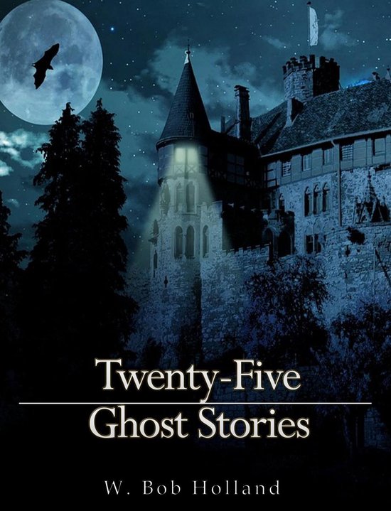 Twenty-Five Ghost Stories (ebook), W. Bob Holland | 9781537811581 | Boeken | bol.com