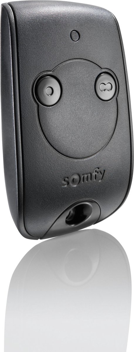 Somfy Afstandsbediening 2 Kanalen | bol.com
