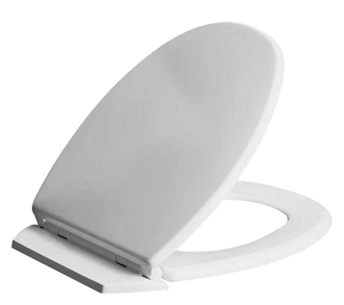 Allibert wc-bril PALADIN - geperst hout - afklikbaar - met regelplaat ...