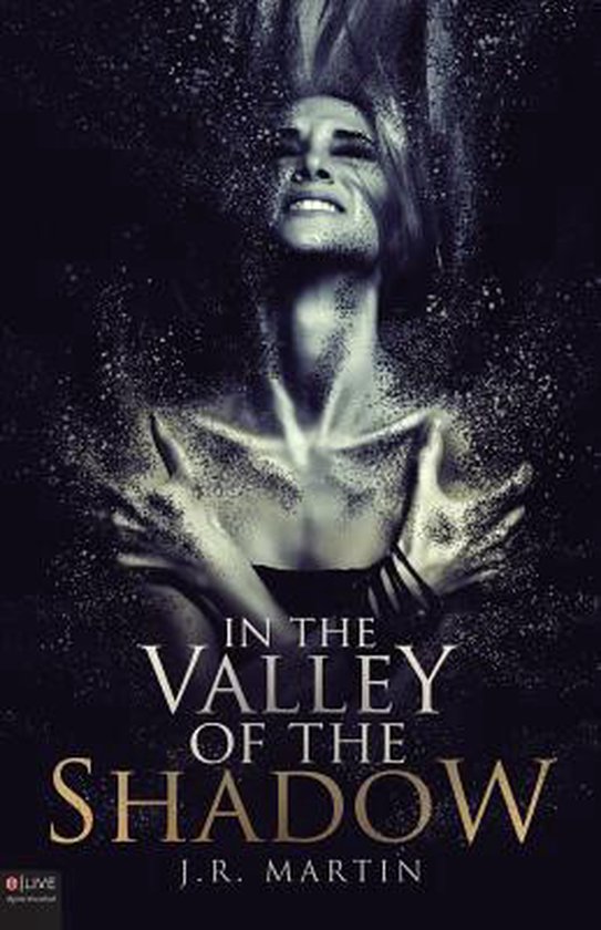 In the Valley of the Shadow | 9781634183932 | Professor J R Martin ...