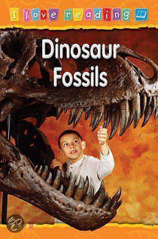 Dinosaur Fossils, Leonie Bennett | 9781846966118 | Boeken | bol.com
