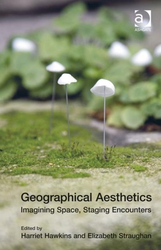 Geographical Aesthetics | 9781409448013 | Elizabeth Straughan | Boeken ...