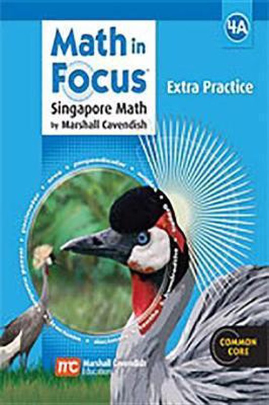 Math in Focus: Singapore Math- Extra Practice, Book a Grade 4 | 9780669015911 |... | bol.com