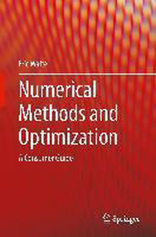 Numerical Methods and Optimization | 9783319076706 | Éric Walter | Boeken | bol.com