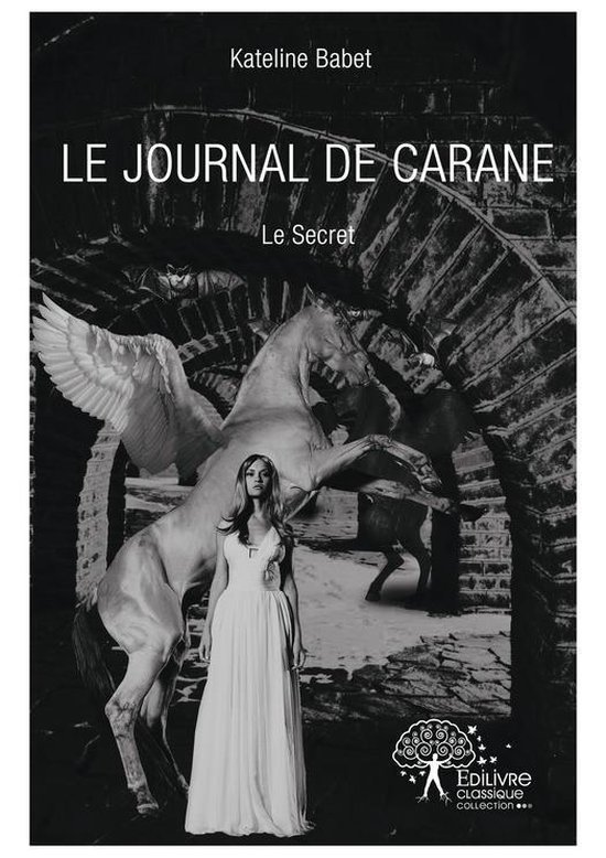 Collection Classique - Le Journal de Carane (ebook), Kateline Babet ...