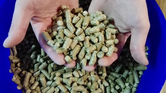 Literie pour animaux de compagnie Plus granule de paille / granule ...