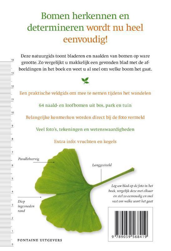 Boombladeren op ware grootte, Meike Bosch | 9789059568419 | Boeken | bol