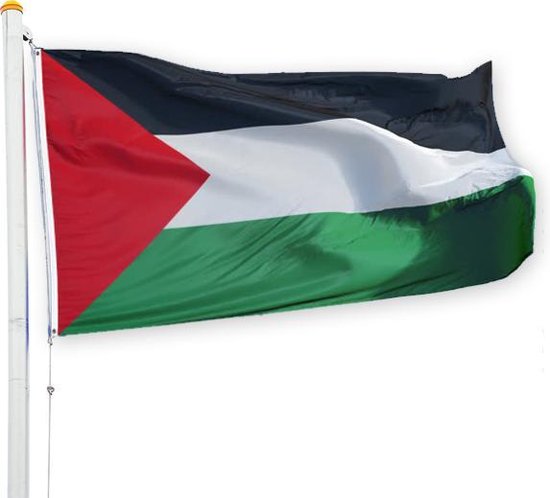 Palestijnse vlag | bol