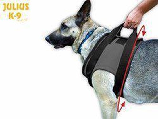 WERELD BEKENDE JULIUS K9 TUIG VOOR GEHANDICAPTE HOND VOORKANT MAAT: S | bol