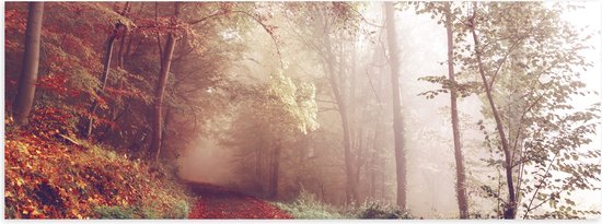 WallClassics - Poster (Mat) - Mistig Herfstbos - 90x30 cm Foto op ...