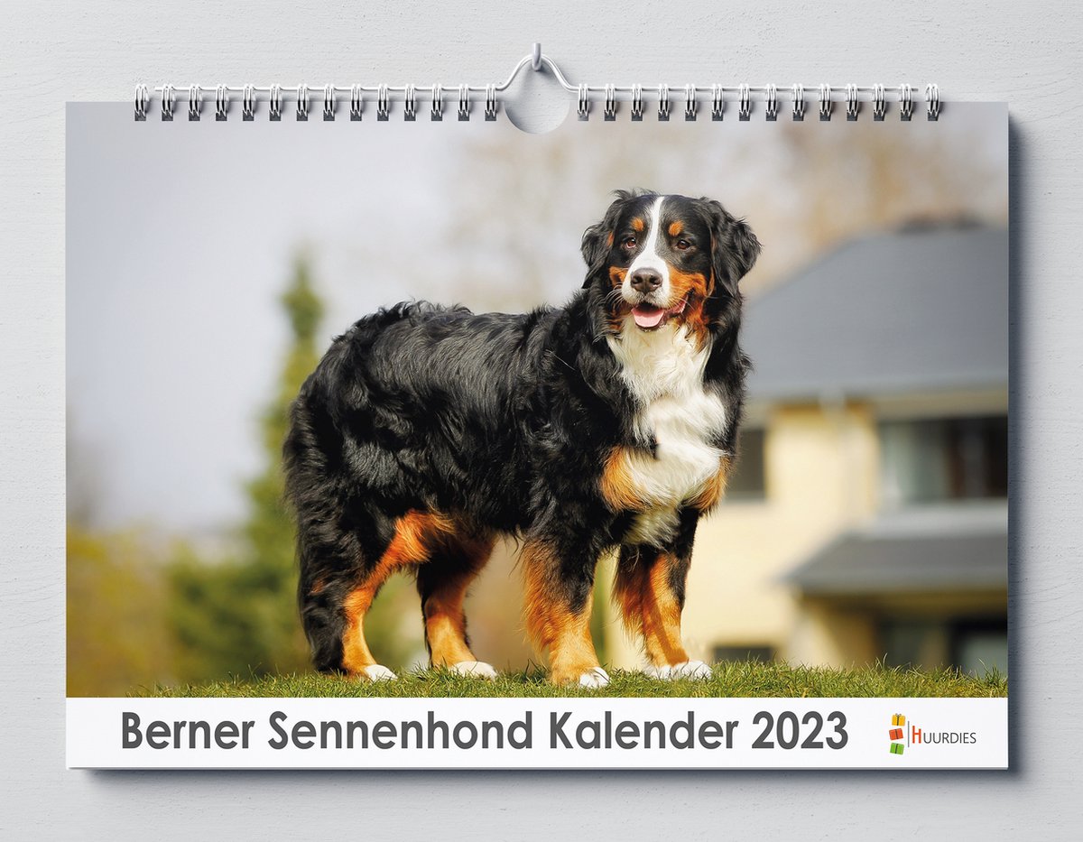 Berner Sennenhond kalender 2023 | 35x24 cm | jaarkalender 2023 ...