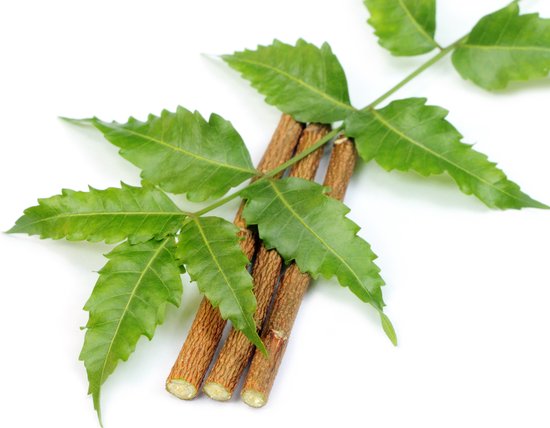 Neemblad thee 25 gram - Gedroogde neembladeren - Minerala Botanicals ...