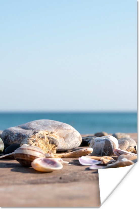 Poster Schelpen - Strand - Zee - Zomer - Zon - 80x120 cm | bol