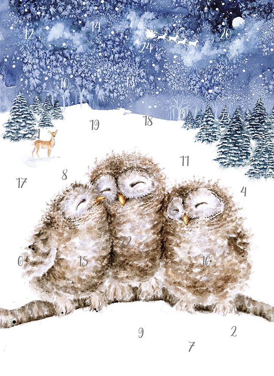 Adventskalender Kaart A5 Wrendale Three Wise Men' Owl Advent Calendar Card | bol