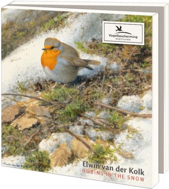 Bekking & Blitz - Kaartenmapje Kerst - Set wenskaarten Kerst - Museumkaarten -... | bol