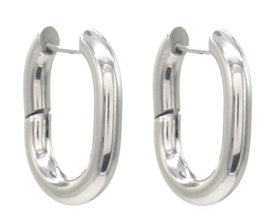 Oorbellen - Oorringen - RVS - 2,5 cm - Zilverkleurig | bol.com