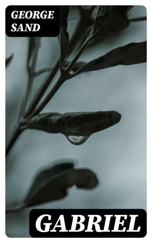 Gabriel (ebook), George Sand | 8596547454397 | Boeken | bol.com
