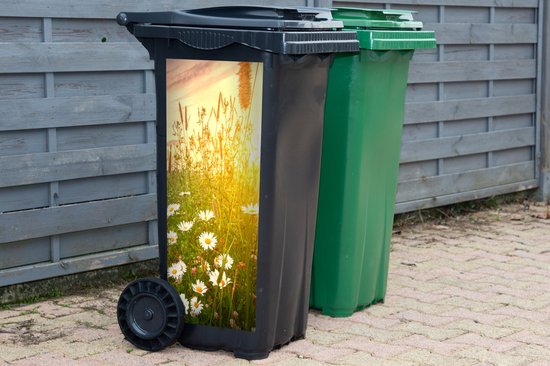 Container sticker Bloemen - Madelief - Natuur - Zon - Horizon - 44x98 ...
